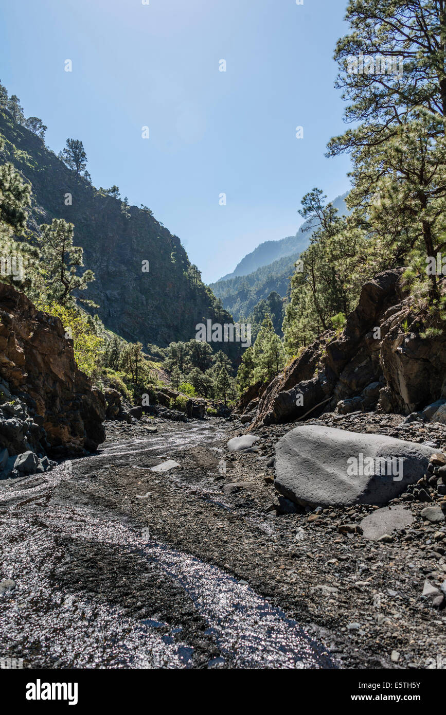 Stream, Caldera de Taburiente National Park, La Palma, Canary Islands ...