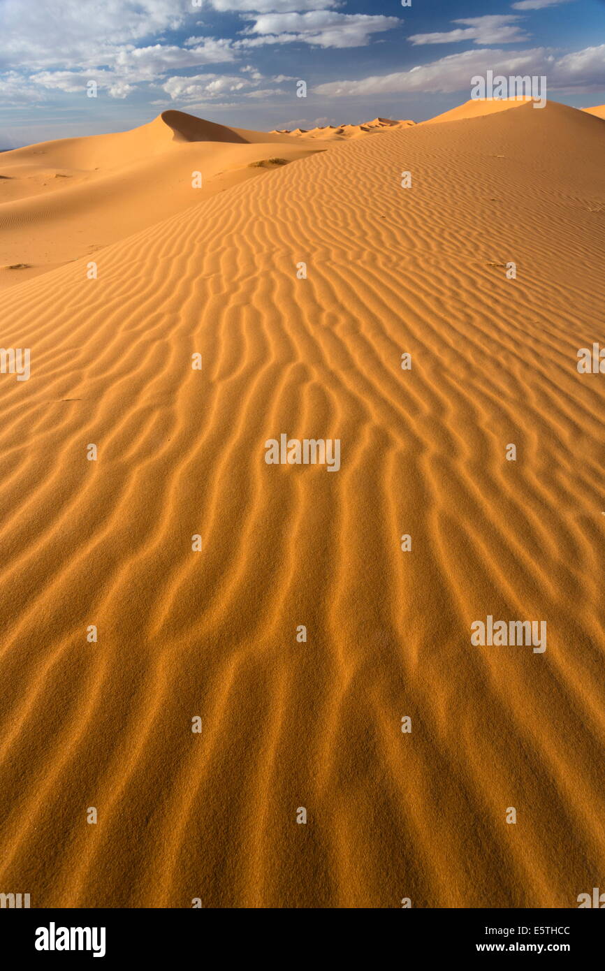 Orange sand dunes and sand ripples, Erg Chebbi sand sea, Sahara Desert ...