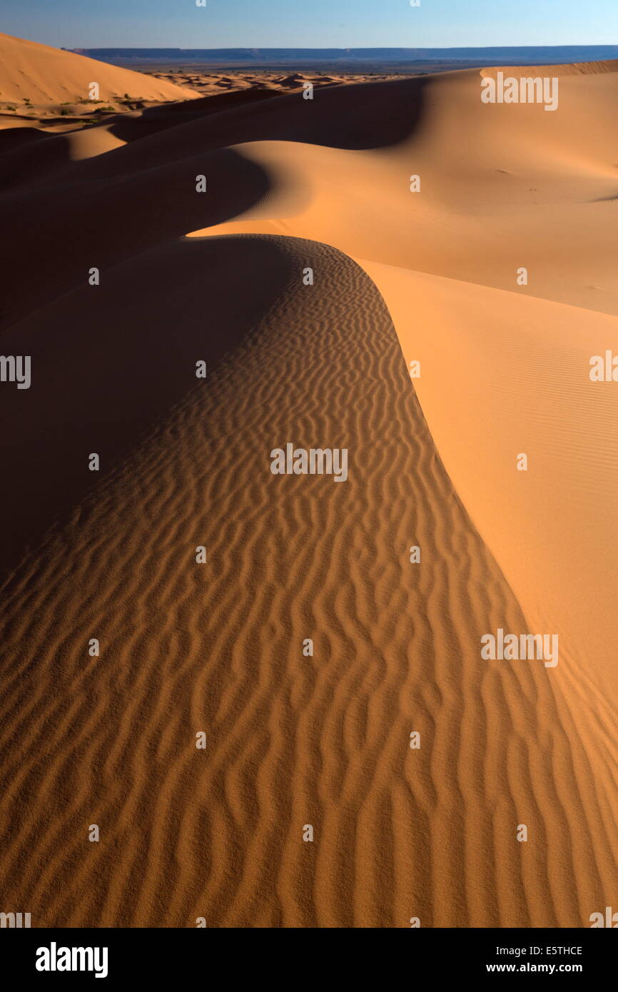 Orange sand dunes and sand ripples, Erg Chebbi sand sea, Sahara Desert ...