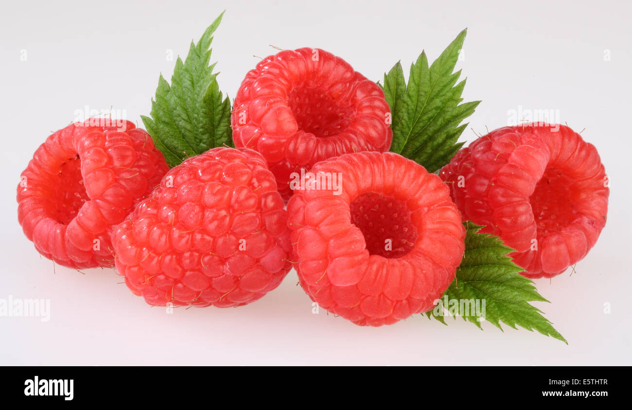 Scottish raspberries hi-res stock photography and images - Alamy