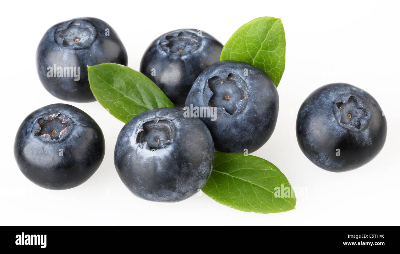 American blueberries fruit hi-res stock photography and images - Alamy
