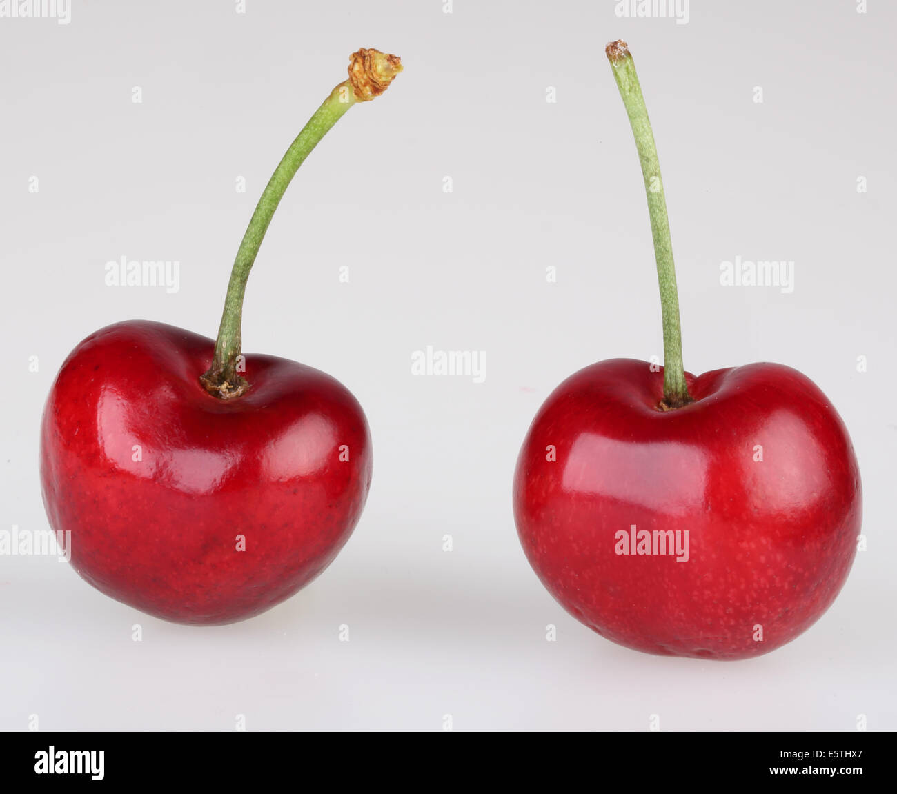 PAIR OF LIGHT RED CHERRIES Stock Photo - Alamy