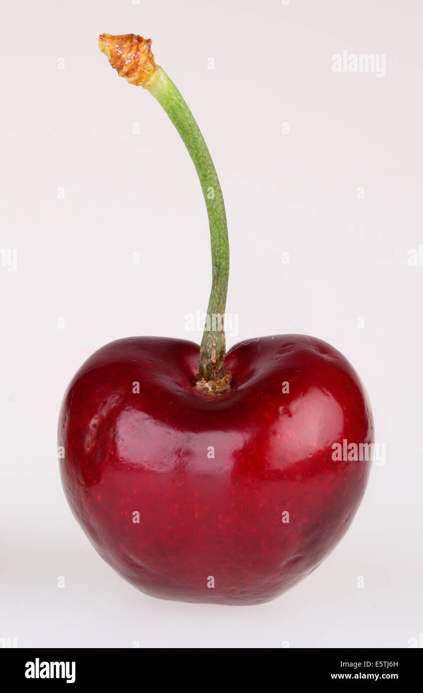 TWO DARK CHERRIES Stock Photo - Alamy