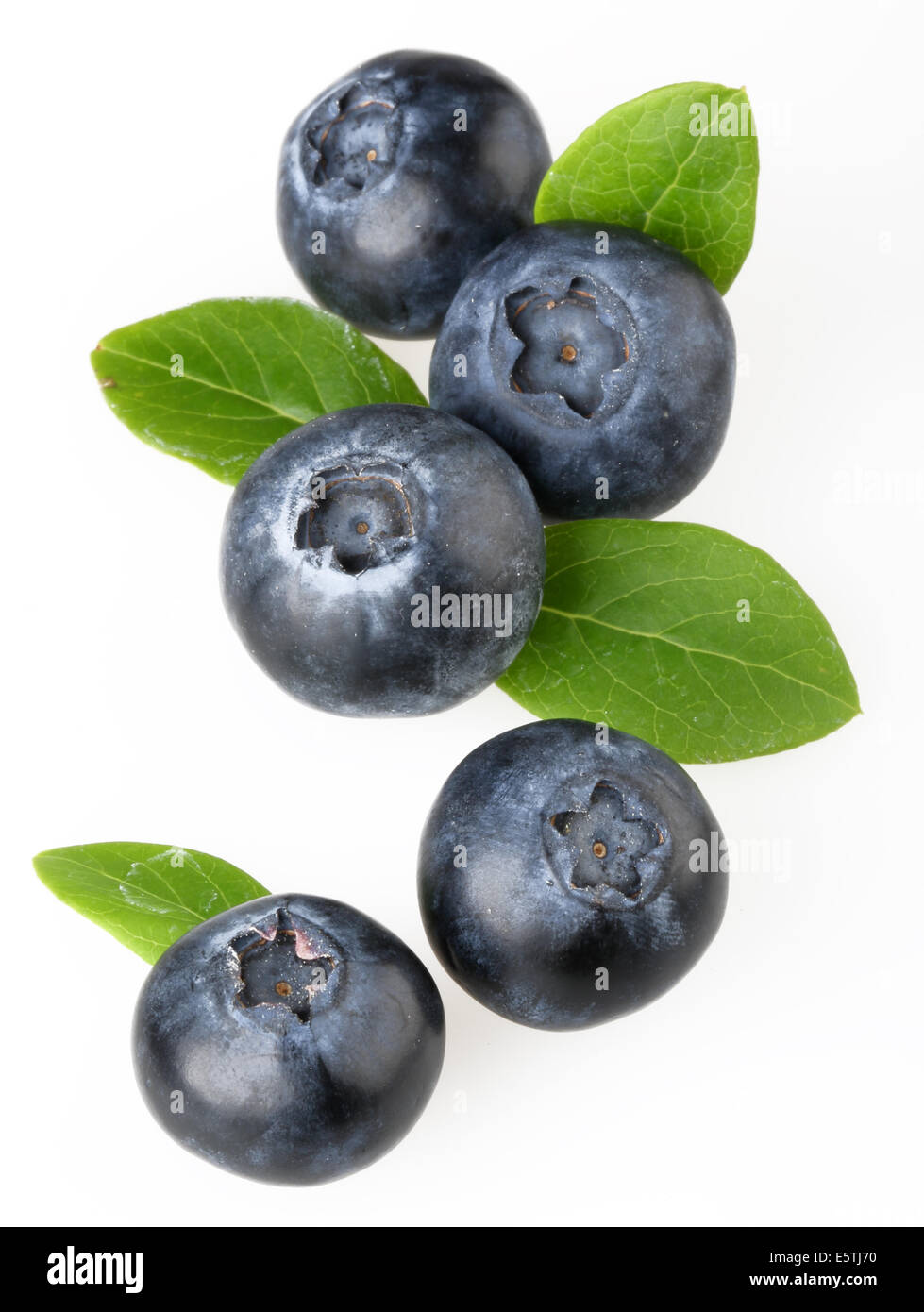 Blueberries cut out hi-res stock photography and images - Alamy