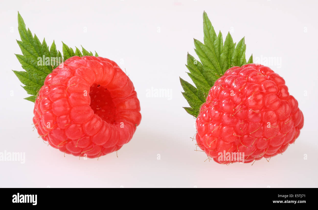 Scottish fruits hi-res stock photography and images - Alamy
