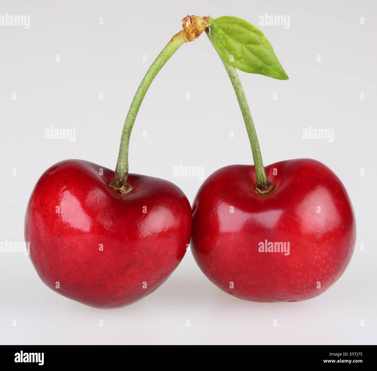 PAIR OF LIGHT RED CHERRIES Stock Photo - Alamy