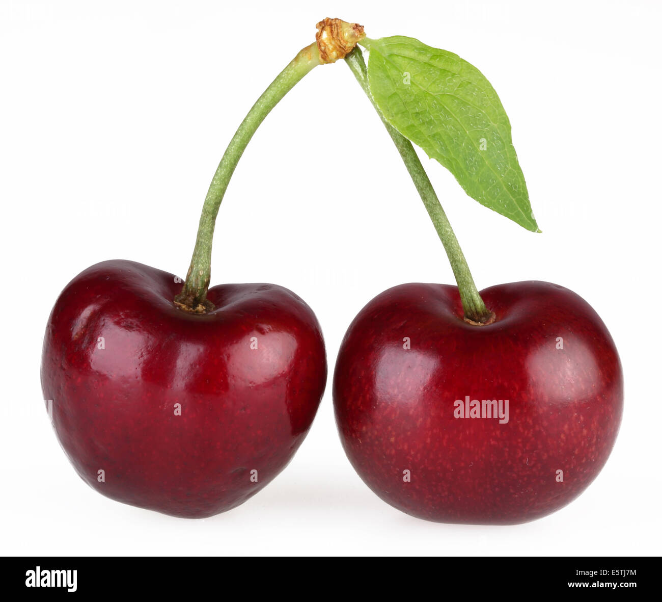 TWO DARK CHERRIES Stock Photo - Alamy