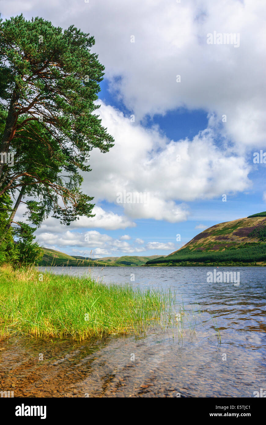 St. Mary's Loch, Scottish Borders, Scotland, UK Stock Photo - Alamy