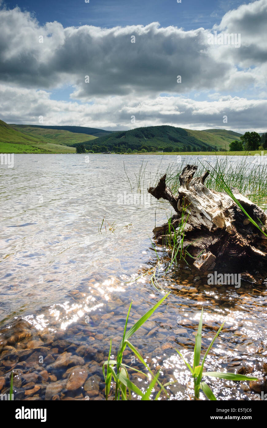 St. Mary's Loch, Scottish Borders, Scotland, UK Stock Photo - Alamy