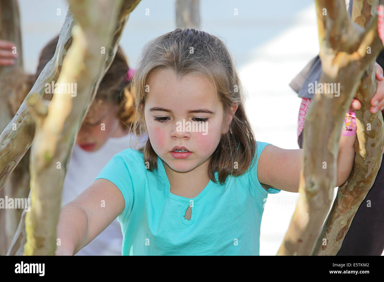 Young girl and friend climbing a tree Stock Photo - Alamy