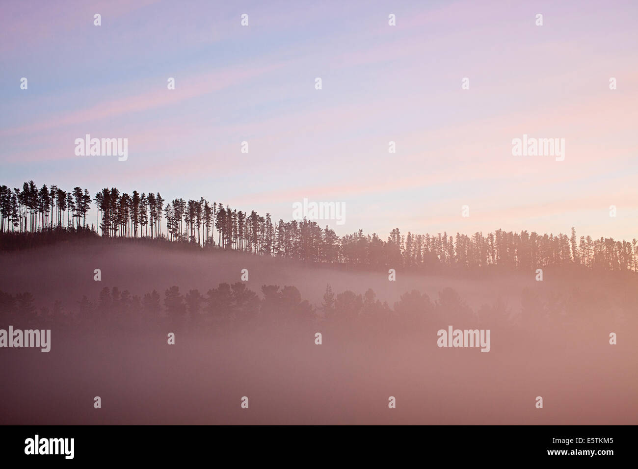 Silhouette trees on top hi-res stock photography and images - Alamy