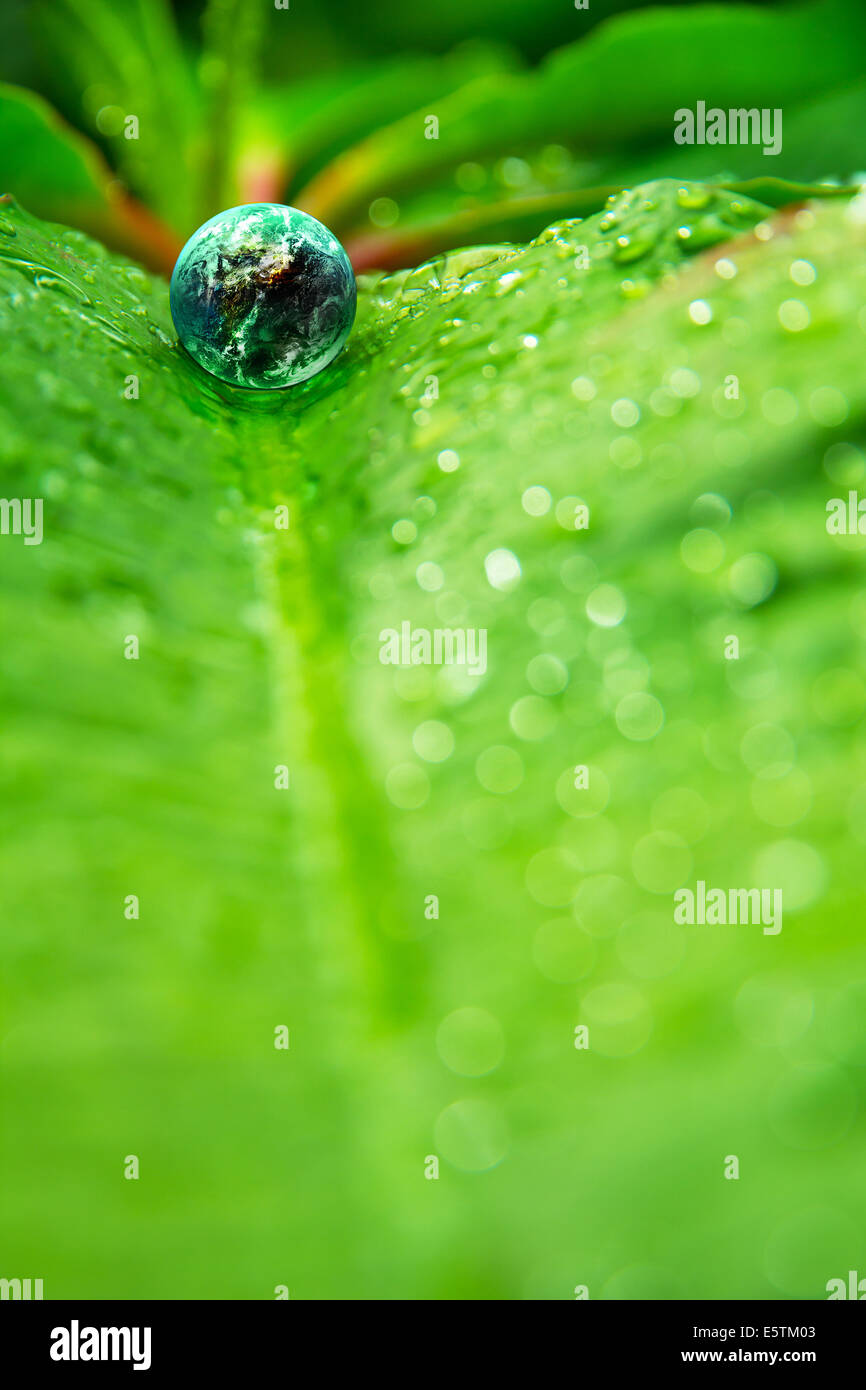 abstract image of small world in nature Stock Photo - Alamy