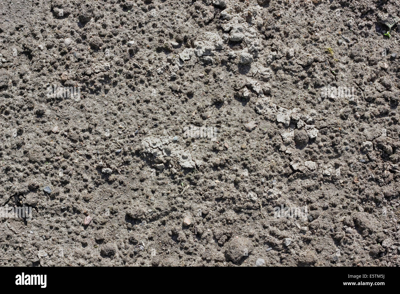 Dead soil organic earth background concept Stock Photo - Alamy