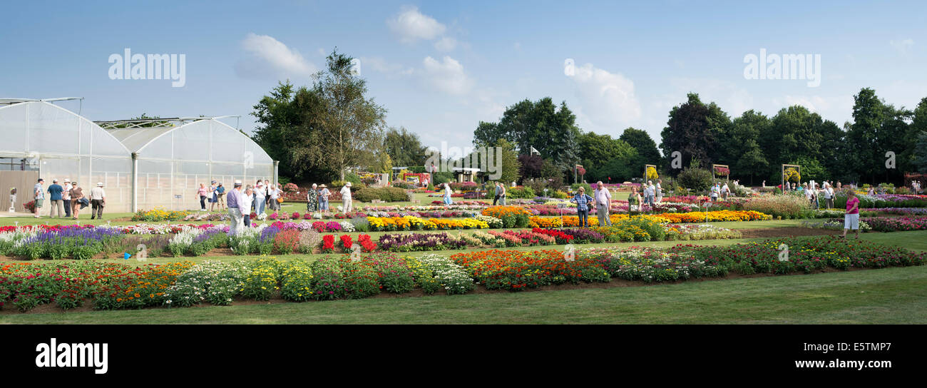 Ball Colegrave gardens Open Day 2014. Banbury, Oxfordshire. England ...