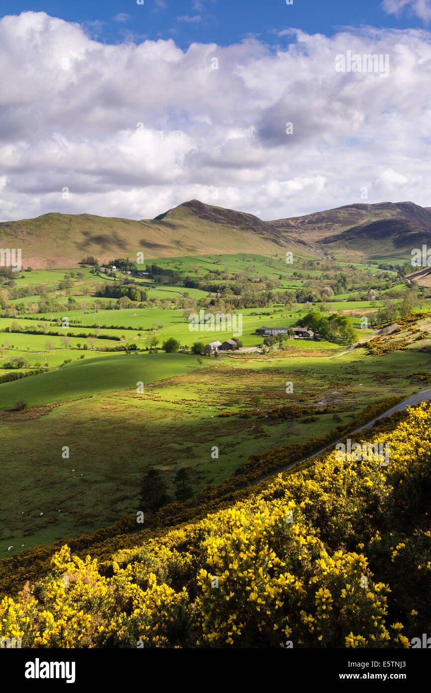 Spring in the Newlands Valley, Lake District Stock Photo - Alamy