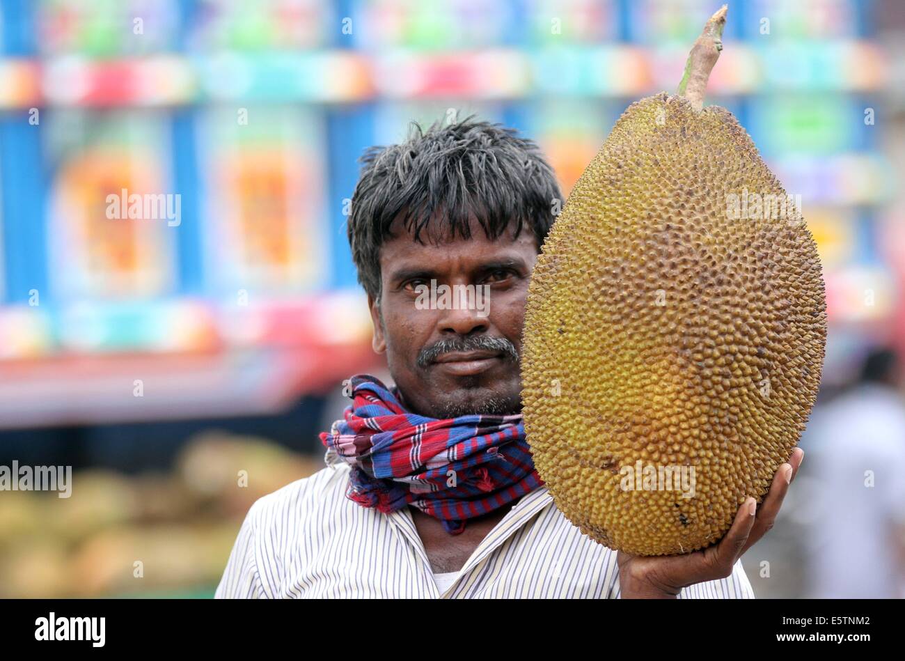 Dhaka 2014. A vender shows jackfruit at a market in Dhaka Stock Photo - Alamy