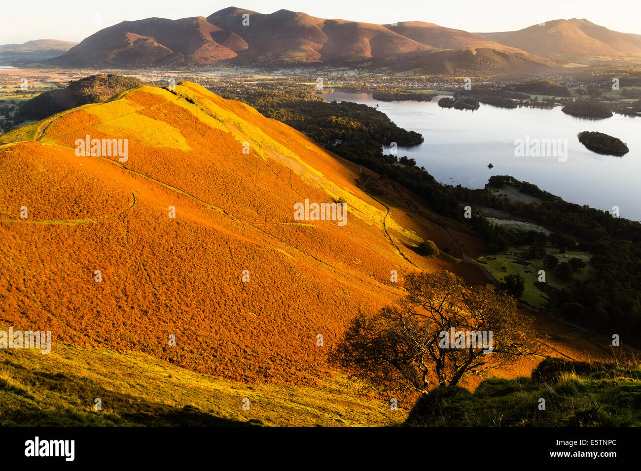 Dawn on Cat Bells overlooking Keswick Stock Photo - Alamy