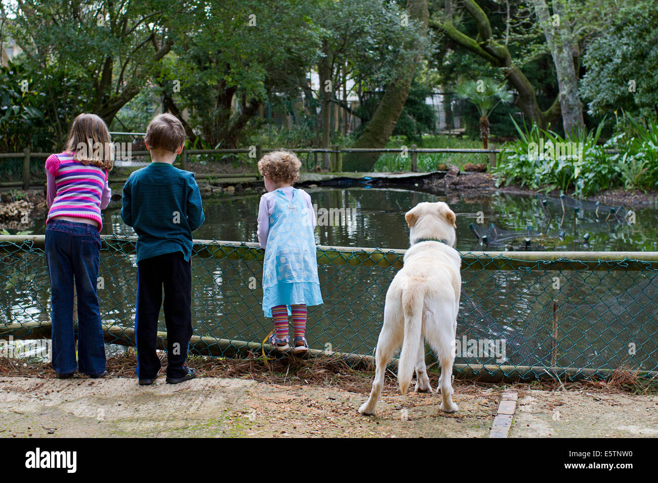 Three kids and a dog Stock Photo - Alamy