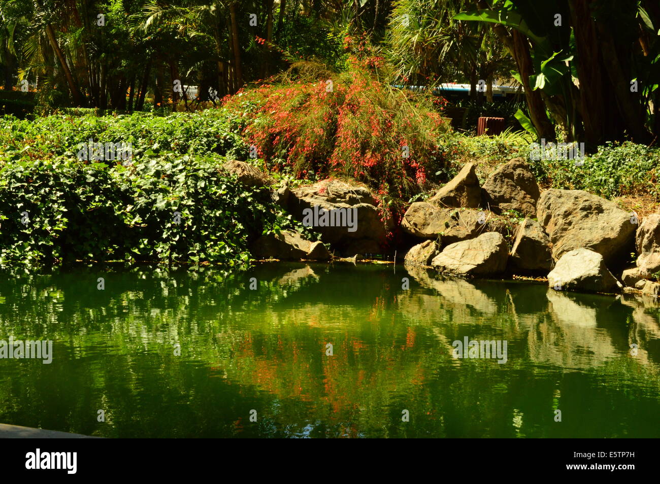 Central park malaga hi-res stock photography and images - Alamy
