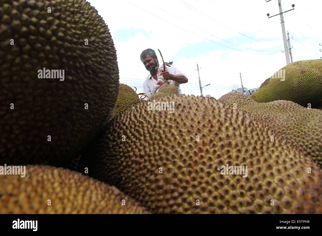 Dhaka 2014. Fresh jackfruit at a market in Dhaka. jackfruit Stock Photo - Alamy