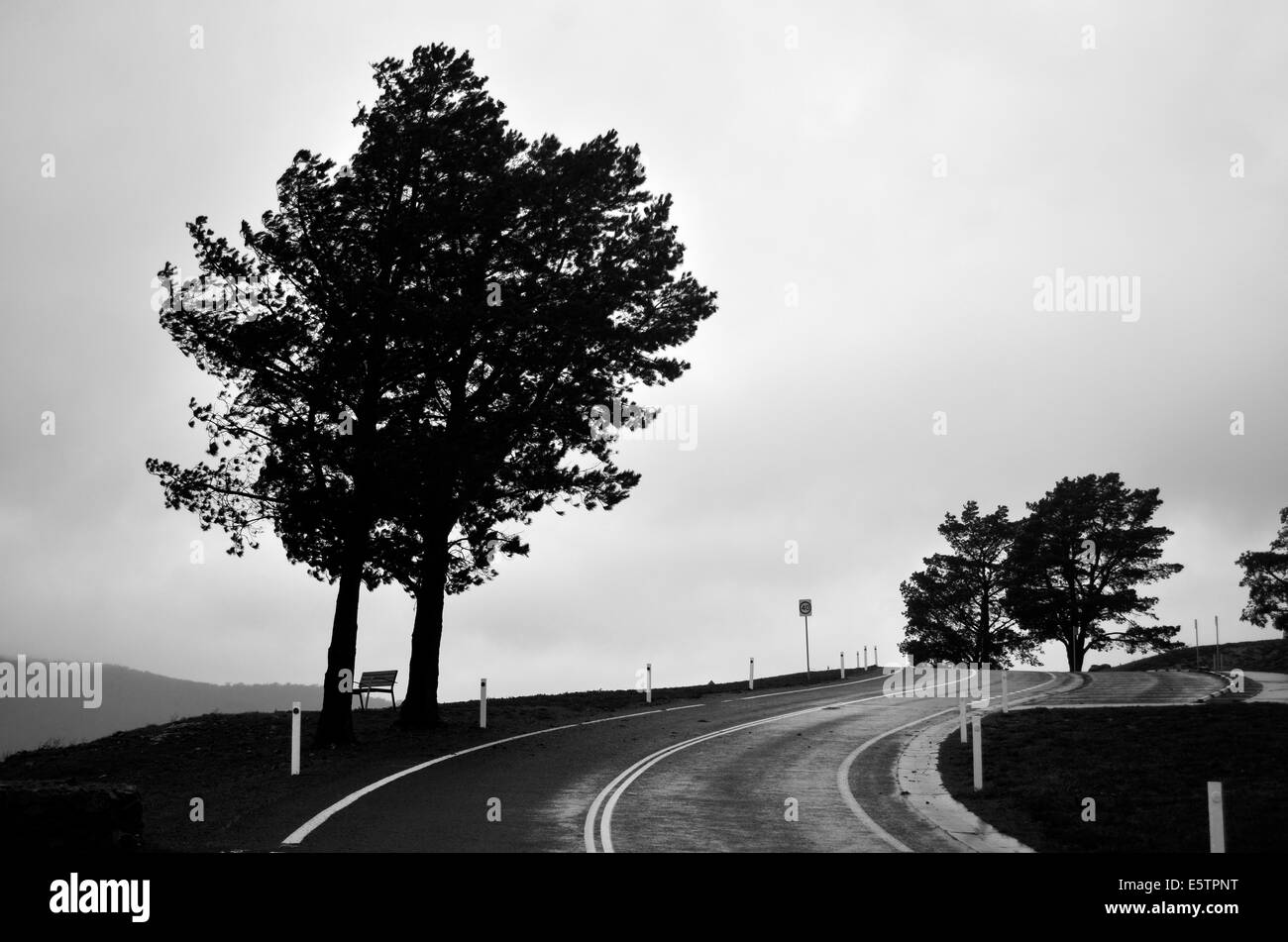 Winding road past the tree with seat overlooking the valley Stock Photo ...