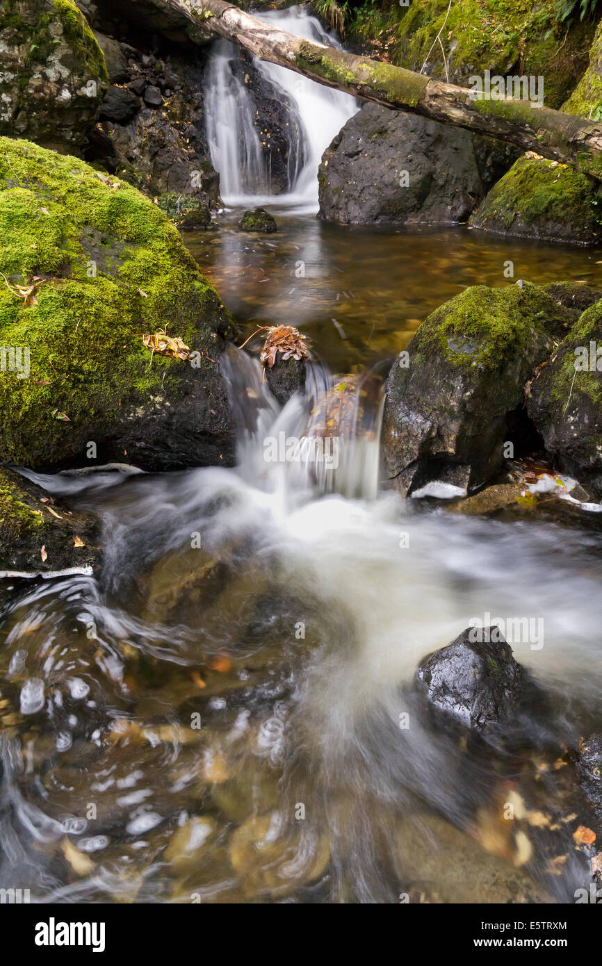 Lake District stream, with waterfall Stock Photo - Alamy