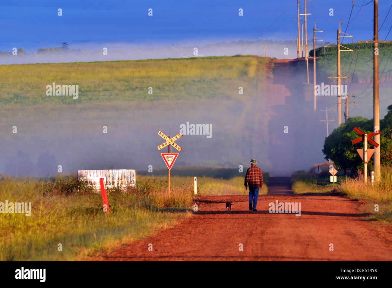 Man dog crossing road hi-res stock photography and images - Alamy