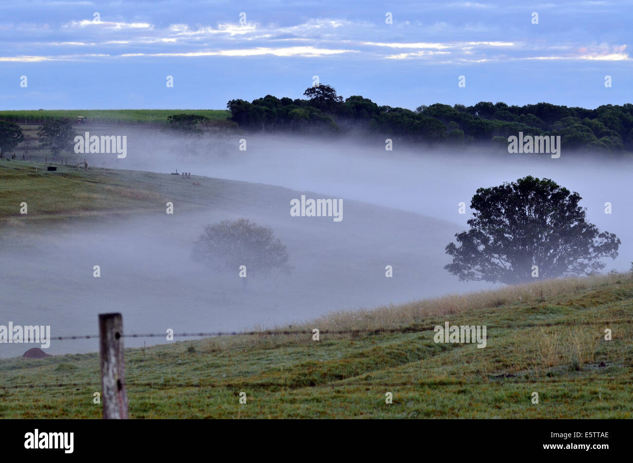 Mist in the valley Stock Photo - Alamy
