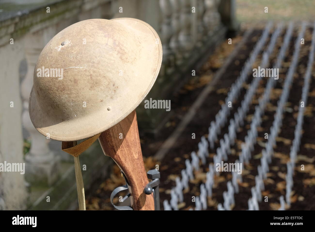 Ww1 helmet poppy hi-res stock photography and images - Alamy