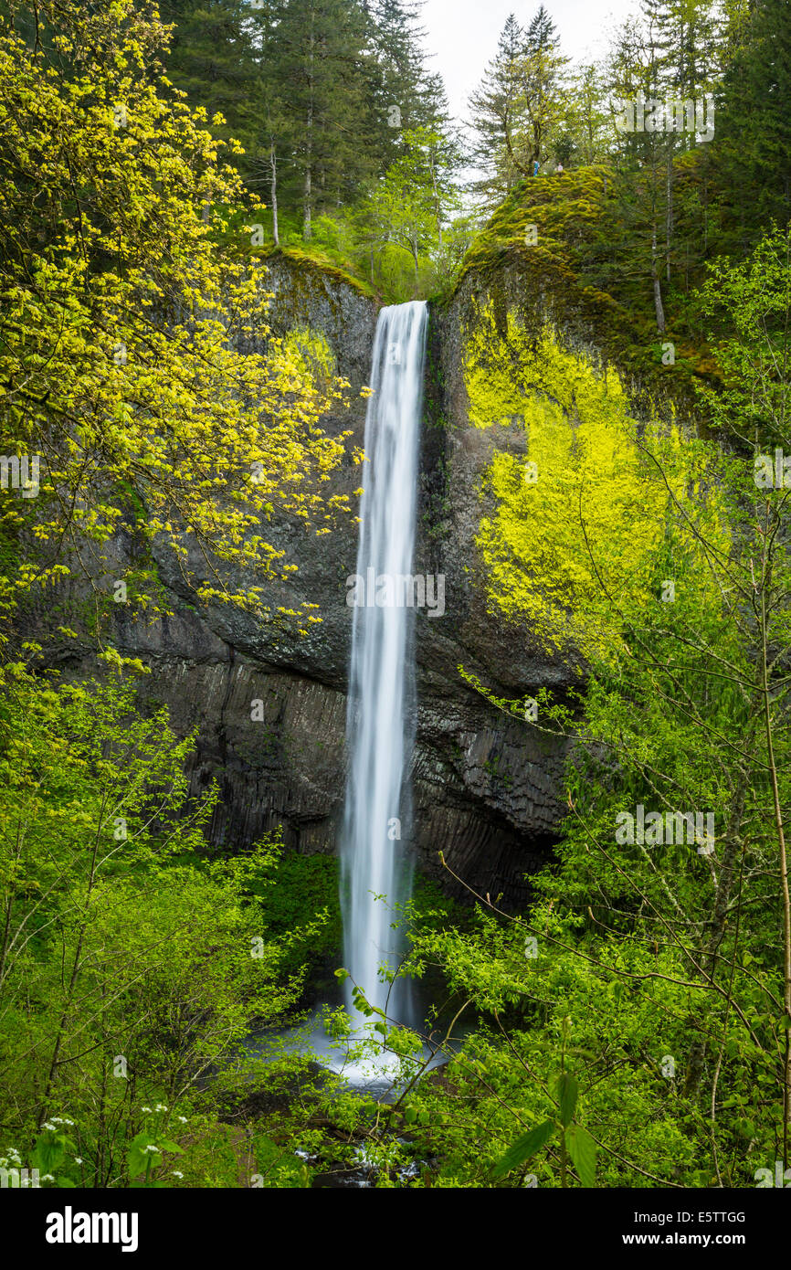 Latourell Falls in the Columbia River Gorge, Oregon, USA Stock Photo ...