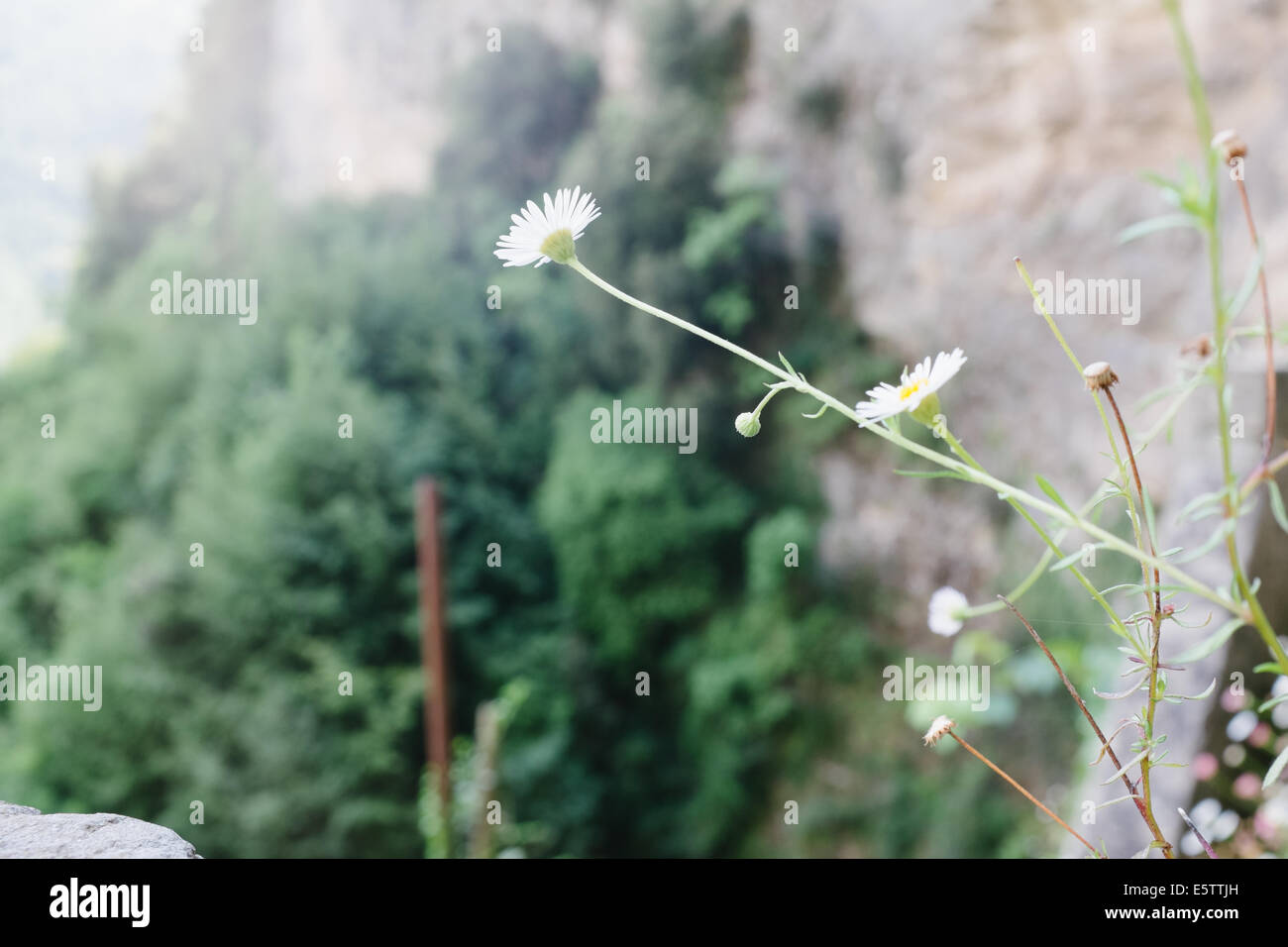 Clinging on hi-res stock photography and images - Alamy