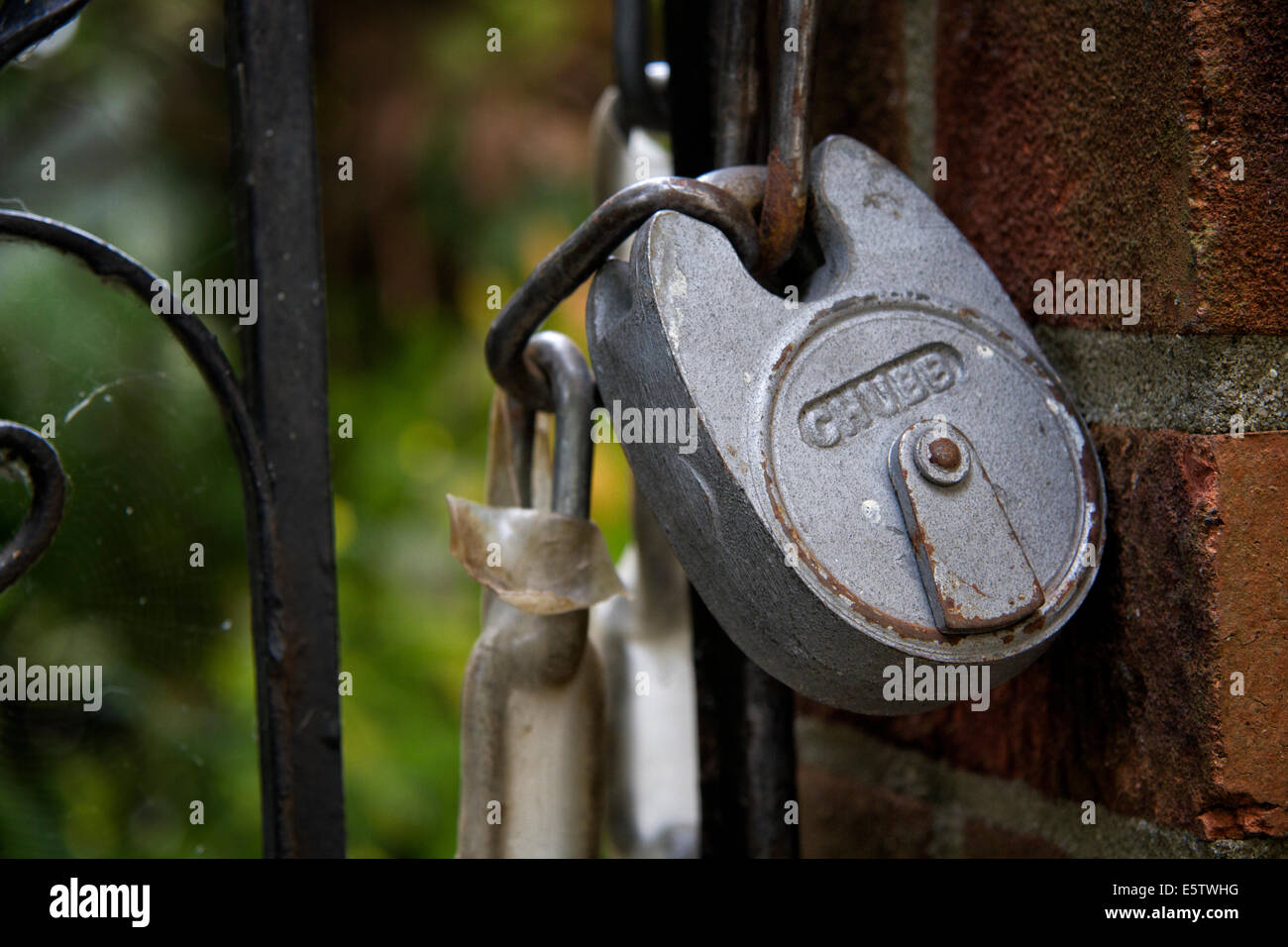 Padlock and chain securing a wrought iron gate Stock Photo - Alamy