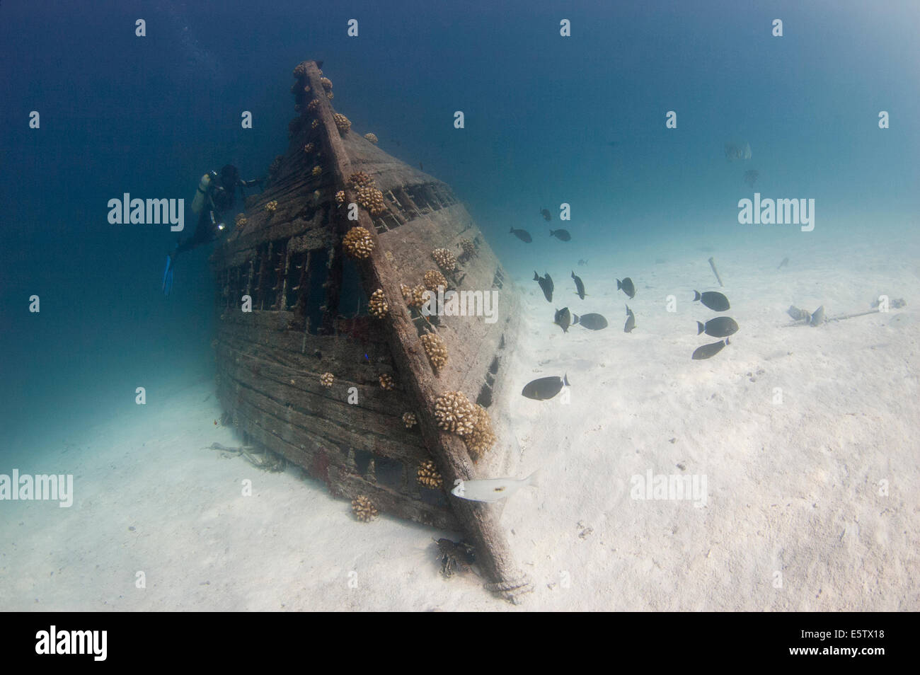 Local fishing dhoni wreck east of Bolifushi island on a sandy sea floor ...