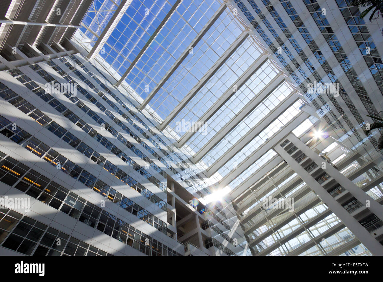 Interior of The Hague City Hall Stock Photo - Alamy
