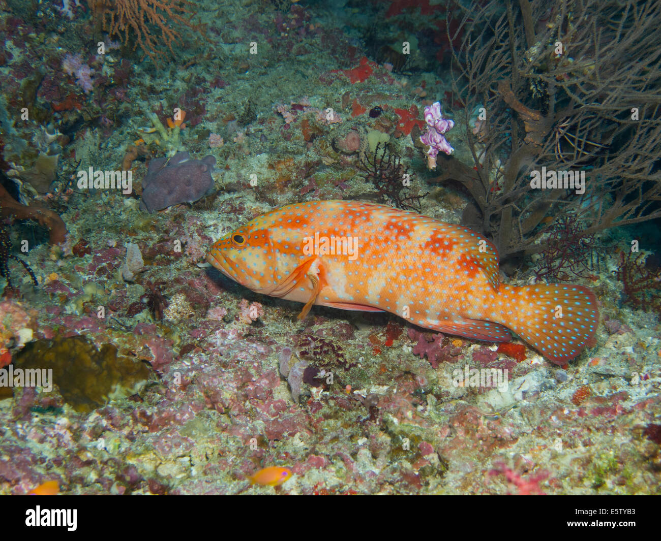 Hard rock and soft water hi-res stock photography and images - Alamy