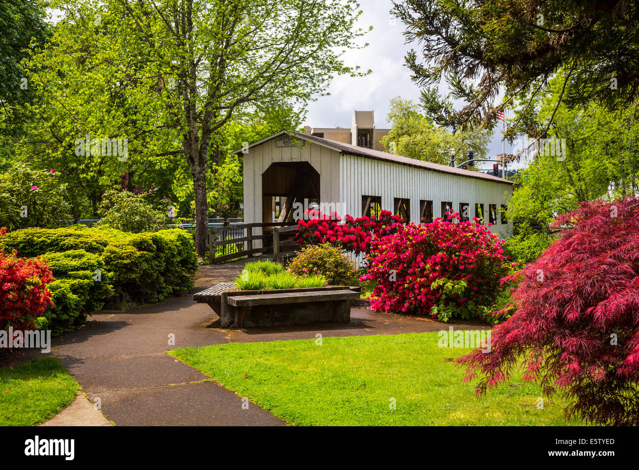 The Centennial covered bridge in Cottage Grove, Oregon, USA Stock Photo ...