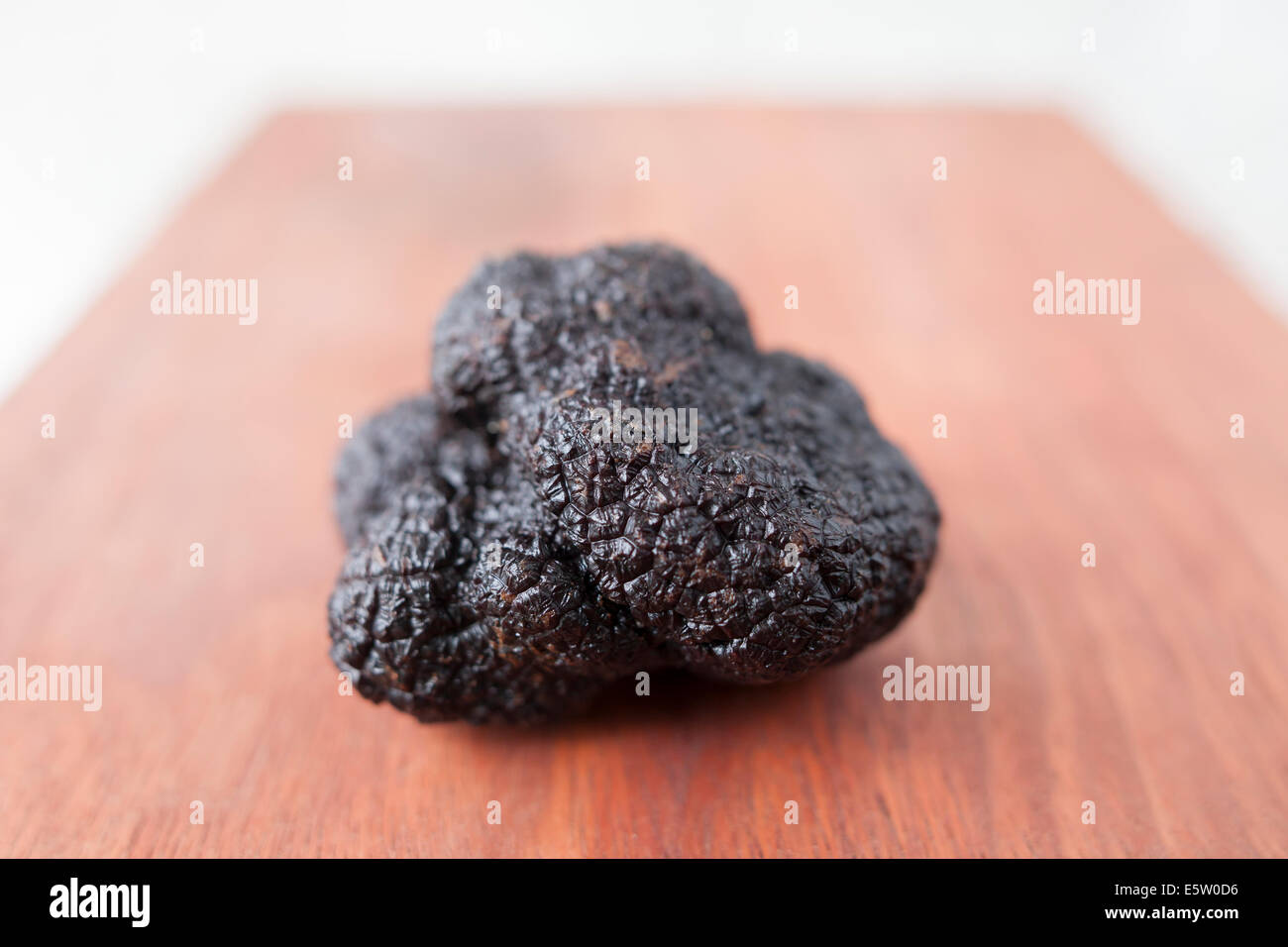 Black perigold truffle cleaned and ready for use in food preparation ...