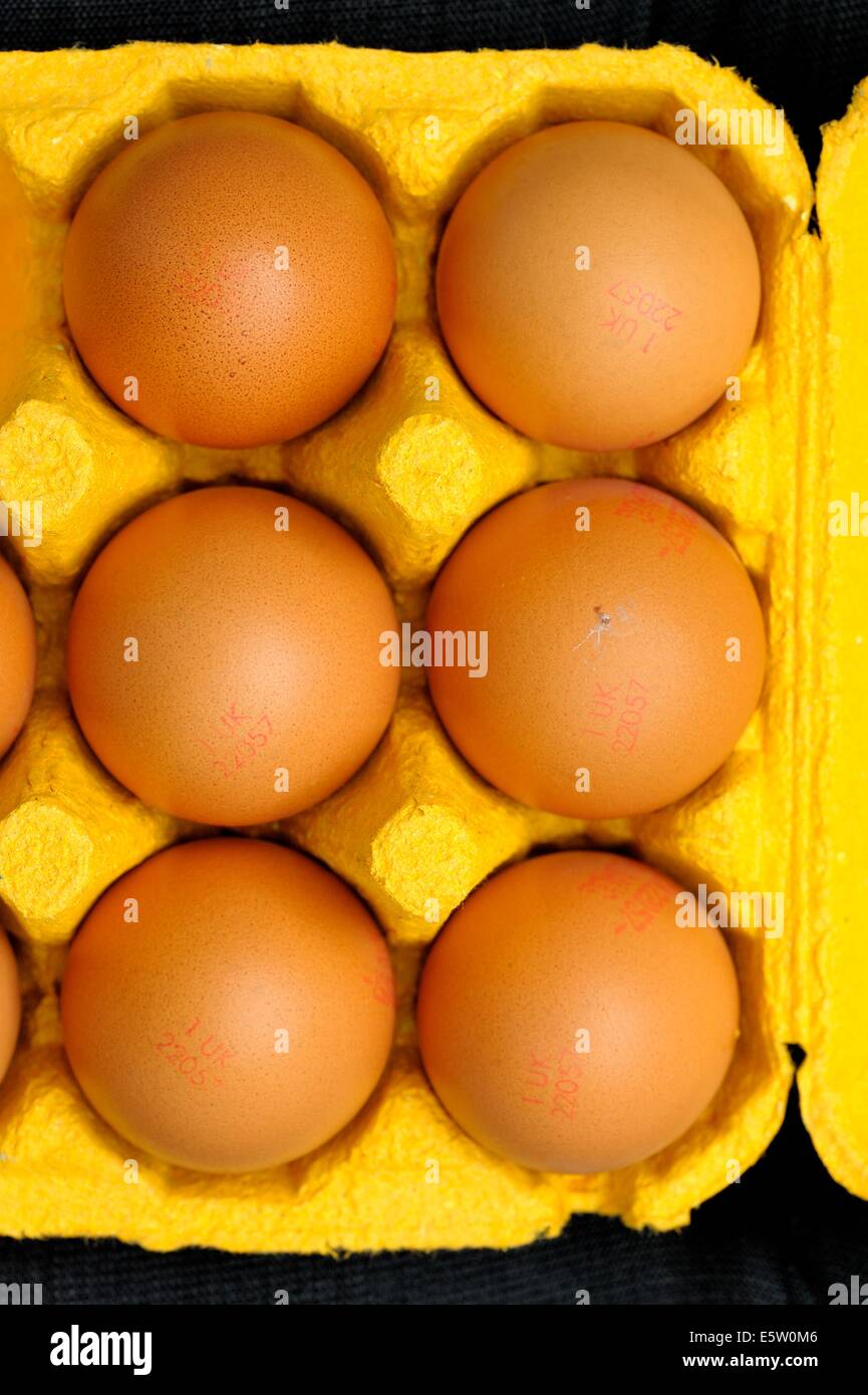 British eggs in a yellow egg box Stock Photo - Alamy