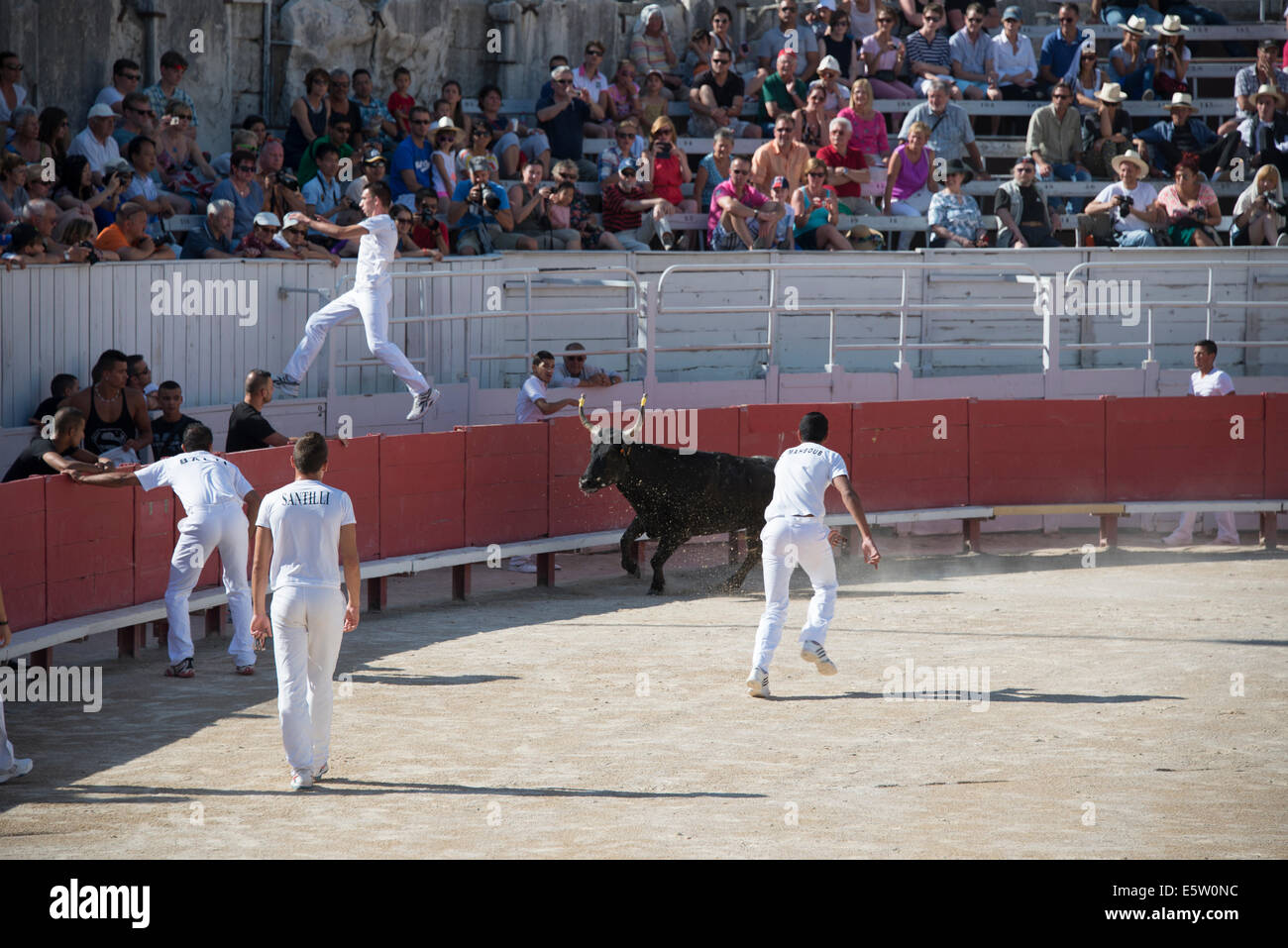 Bull Racing Arles France Stock Photo - Alamy