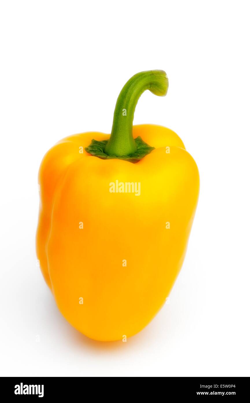 Just yellow Cut Out Stock Images & Pictures - Alamy