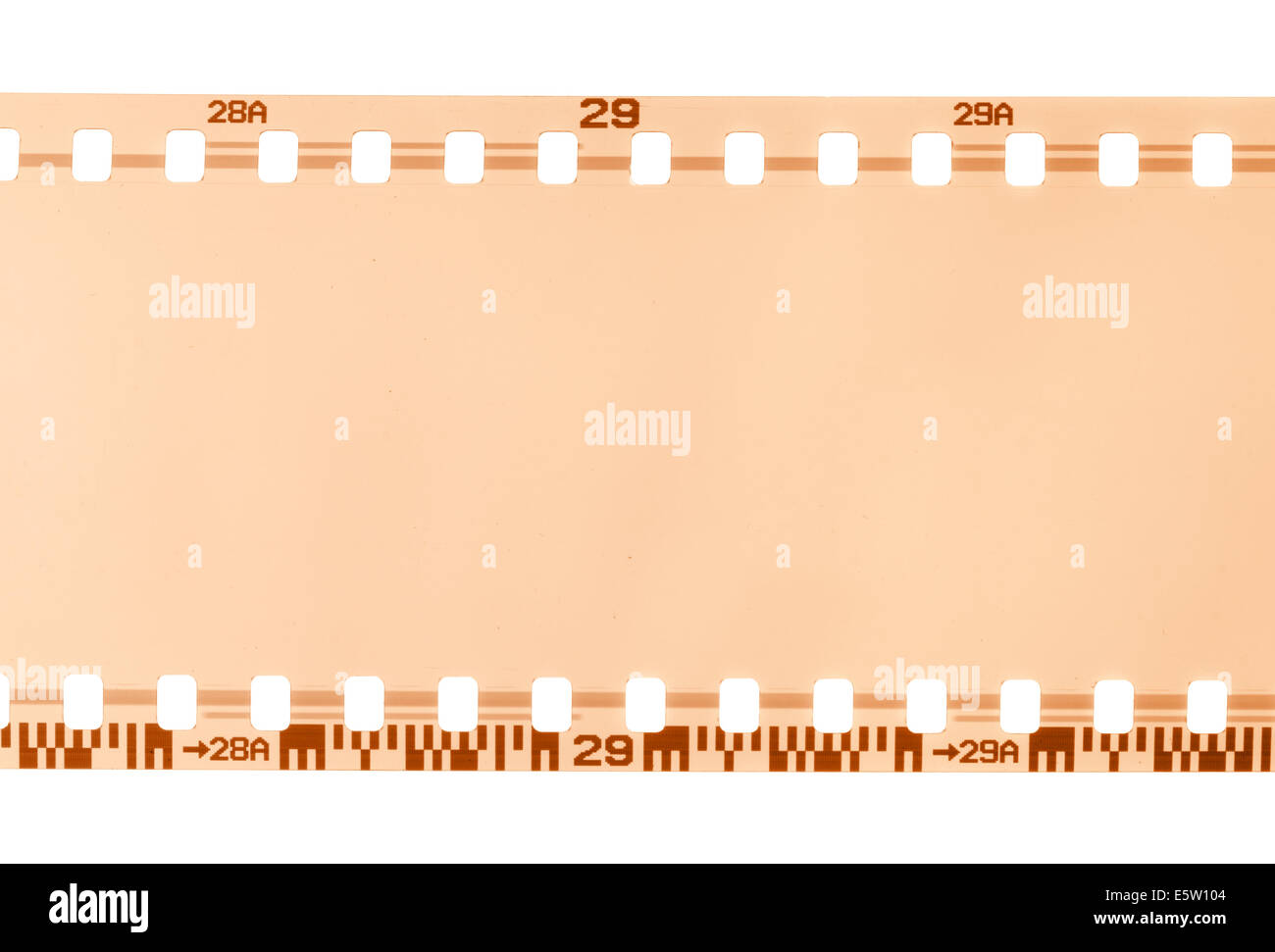 Part of 35 mm film close-up isolated over white background Stock Photo ...