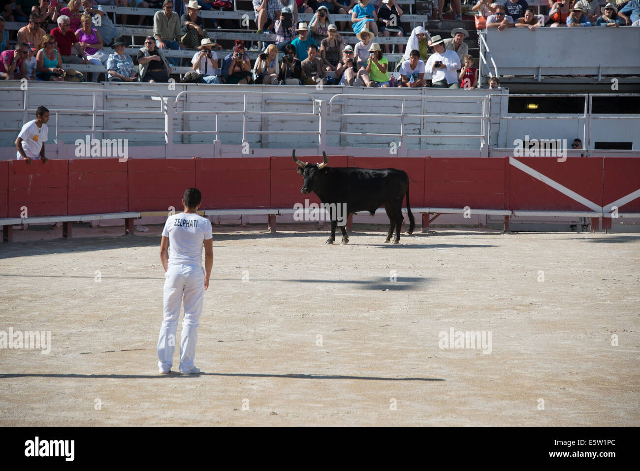 Bull Racing Arles France Stock Photo - Alamy