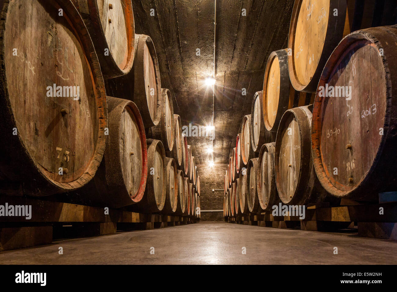 Wooden beer barrels at Oud Beersel, Belgian artisanal Lambic brewery ...