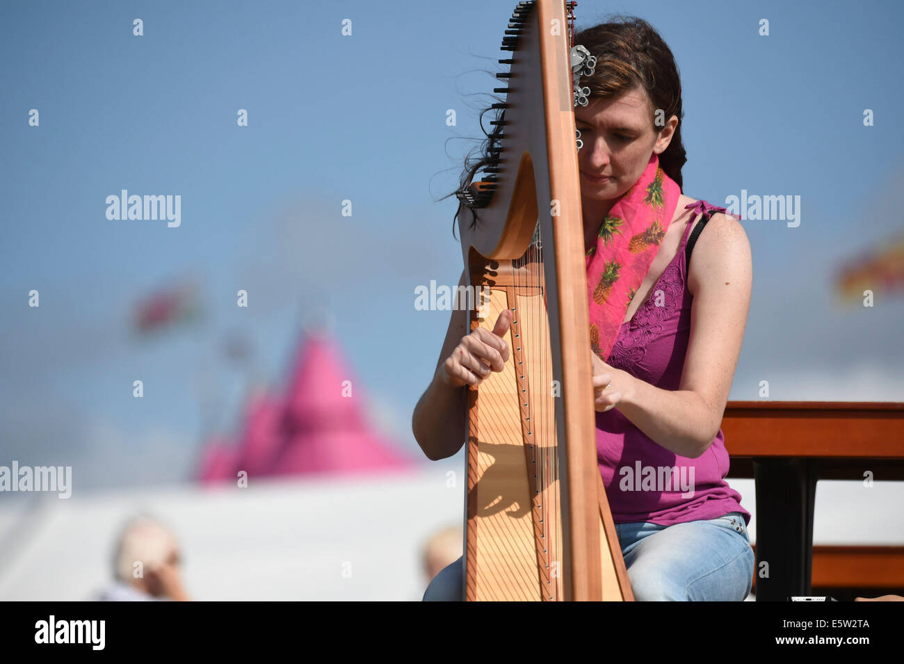 National instrument of wales hi-res stock photography and images - Alamy