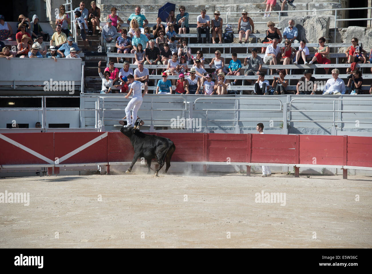 Bull Racing Arles France Stock Photo - Alamy
