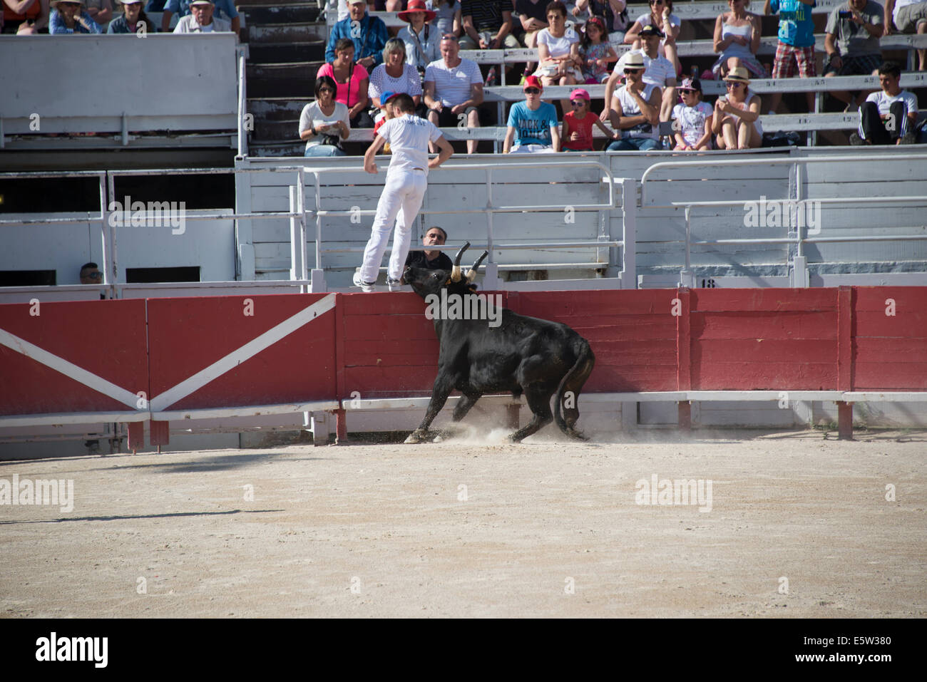Bullrace hi-res stock photography and images - Alamy