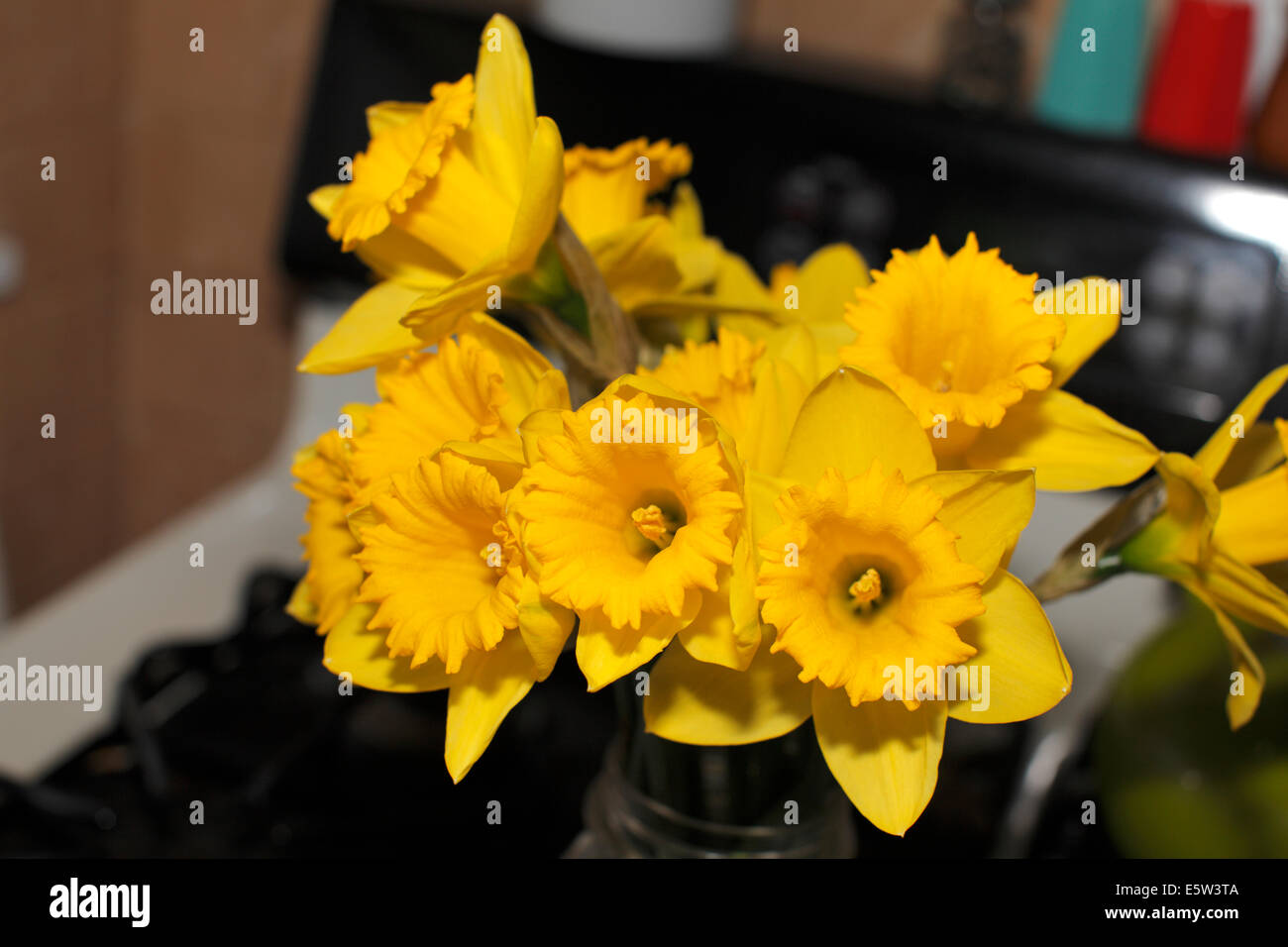 Bunch of yellow daffodils Stock Photo - Alamy