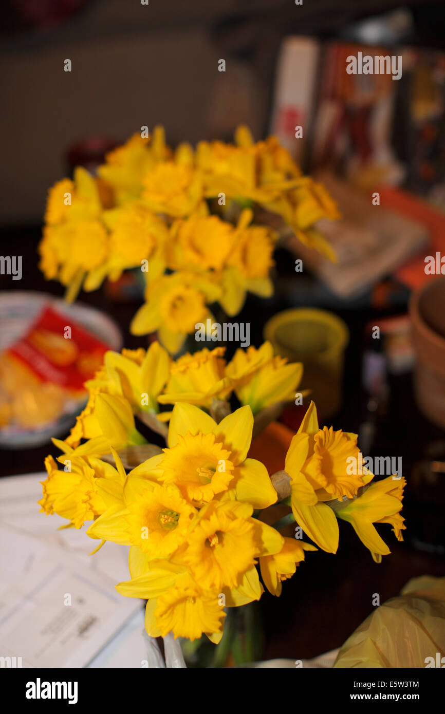 Bunch of yellow daffodils Stock Photo - Alamy