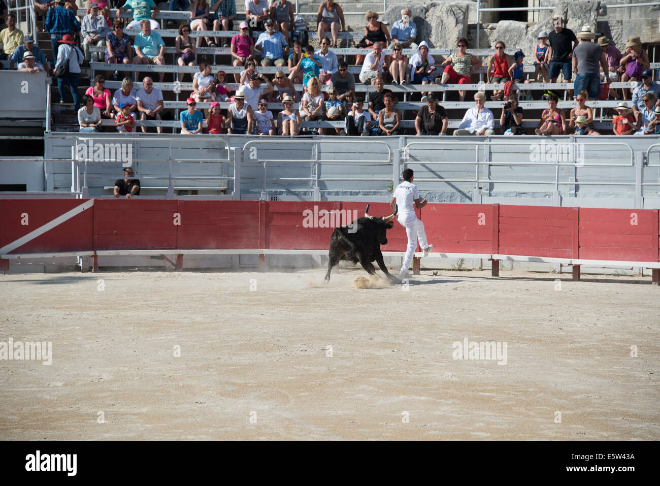 Bullrace hi-res stock photography and images - Alamy
