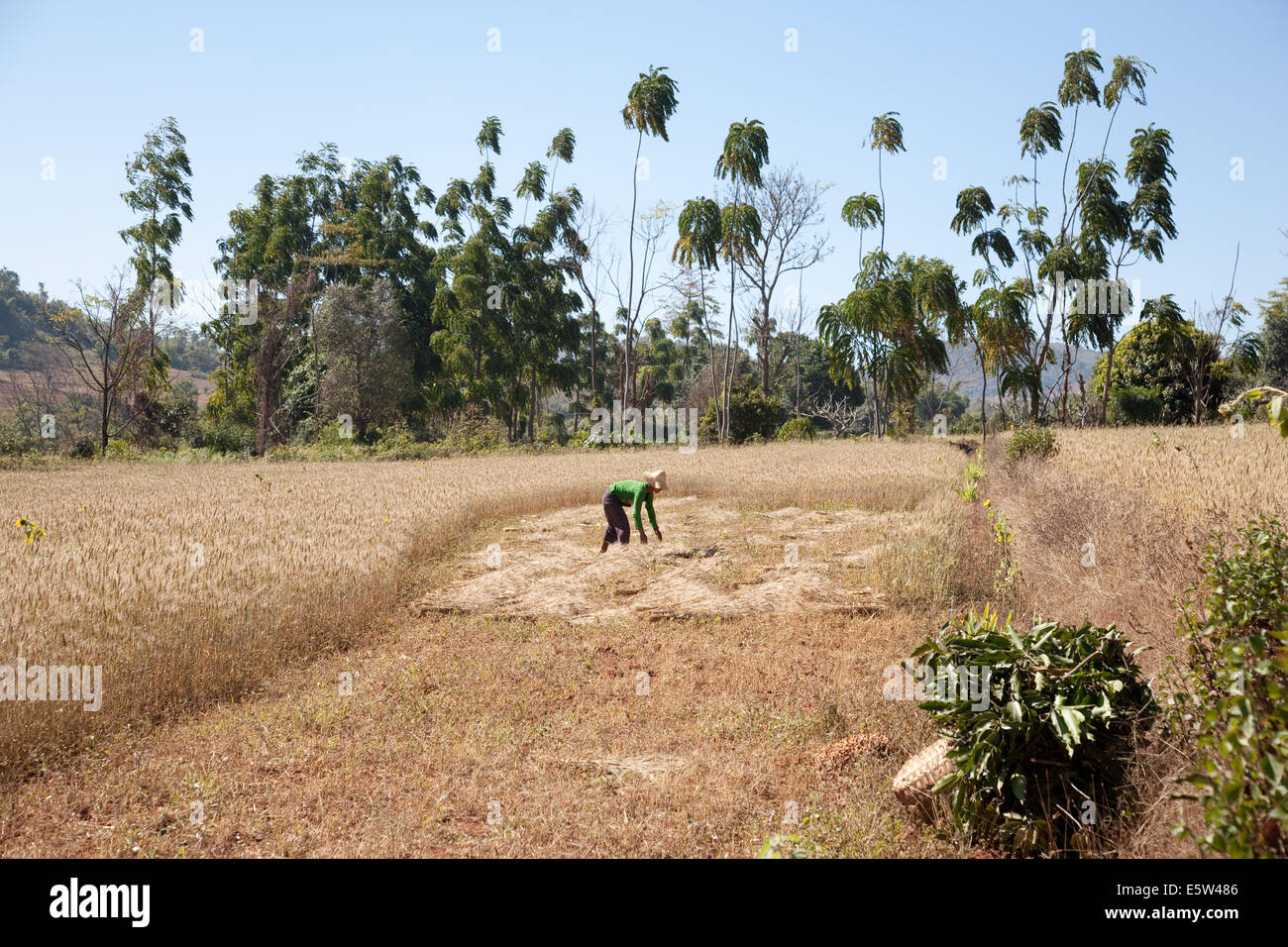 Labouring man hi-res stock photography and images - Alamy